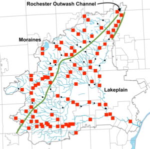 Bluegill – Friends of the Rouge