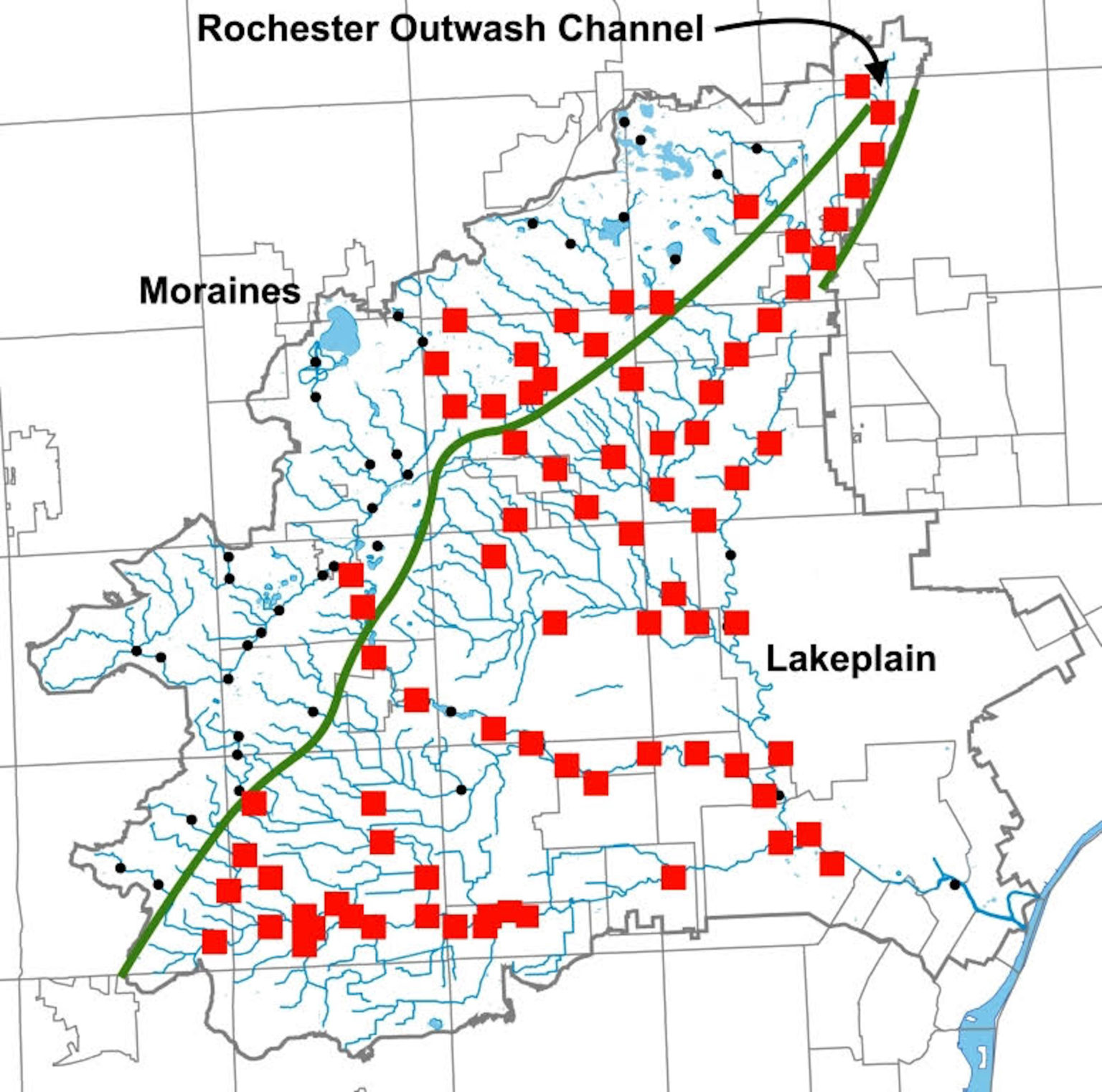 Common Shiner – Friends of the Rouge