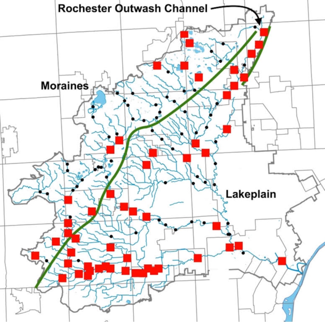 Largemouth Bass – Friends of the Rouge
