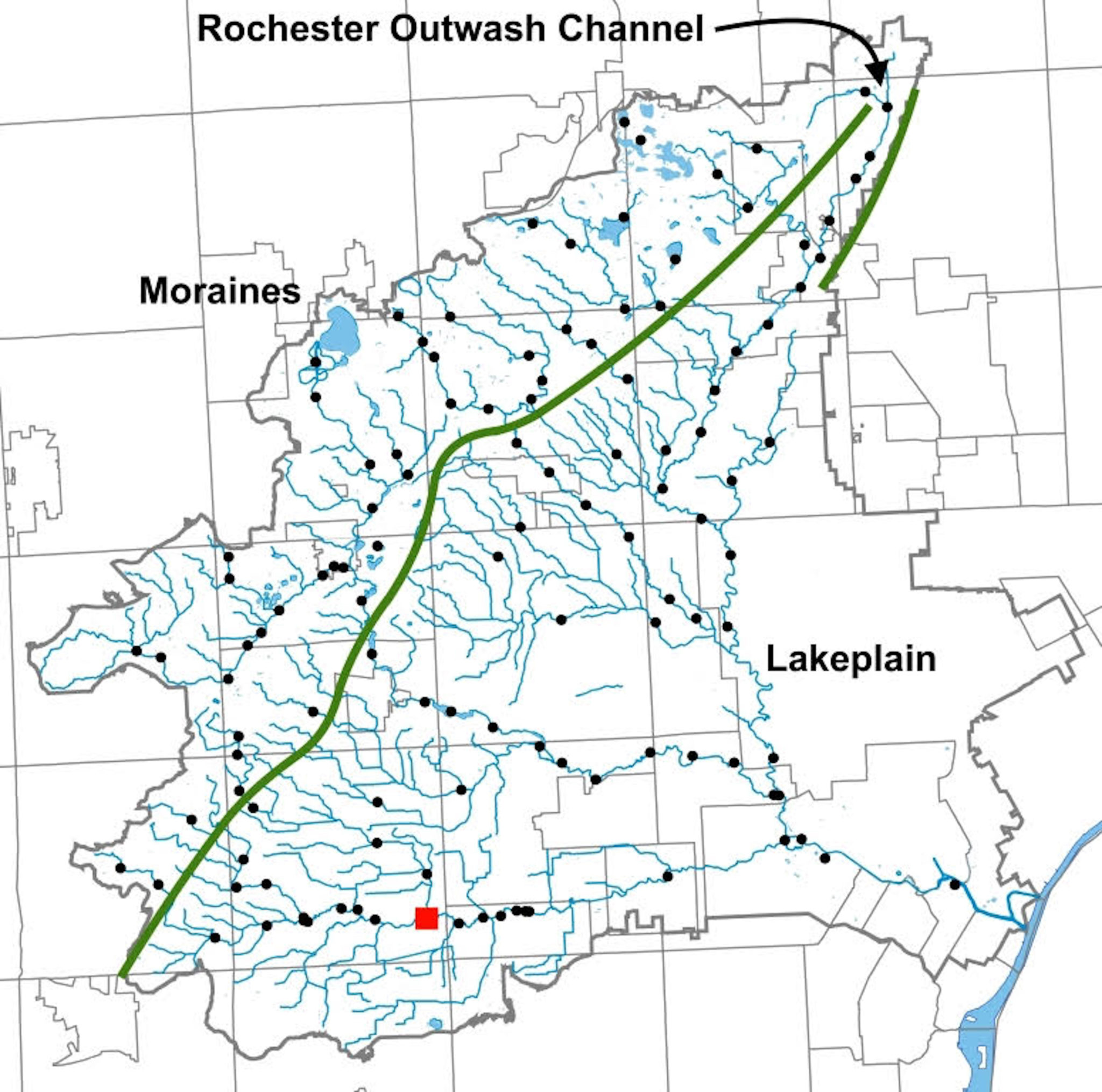Spotted Sucker – Friends of the Rouge