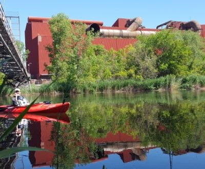 Friends of the Rouge – Promoting restoration & stewardship of the Rouge ...