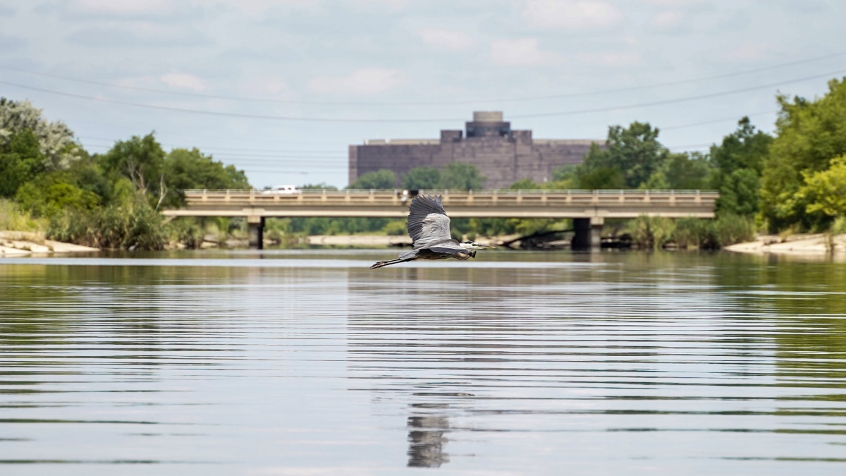 Events - Friends of the Rouge